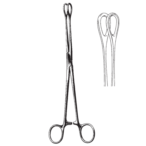 REDA Foerster Sponge Forceps, Smooth Straight - 25cm / 10" | Medical ...