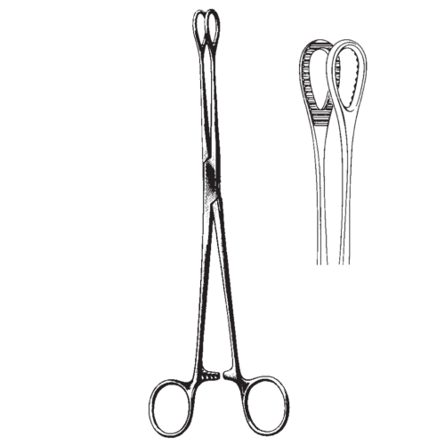 REDA Foerster Sponge Forceps, Serrated Straight - 25cm / 10" | Medical ...