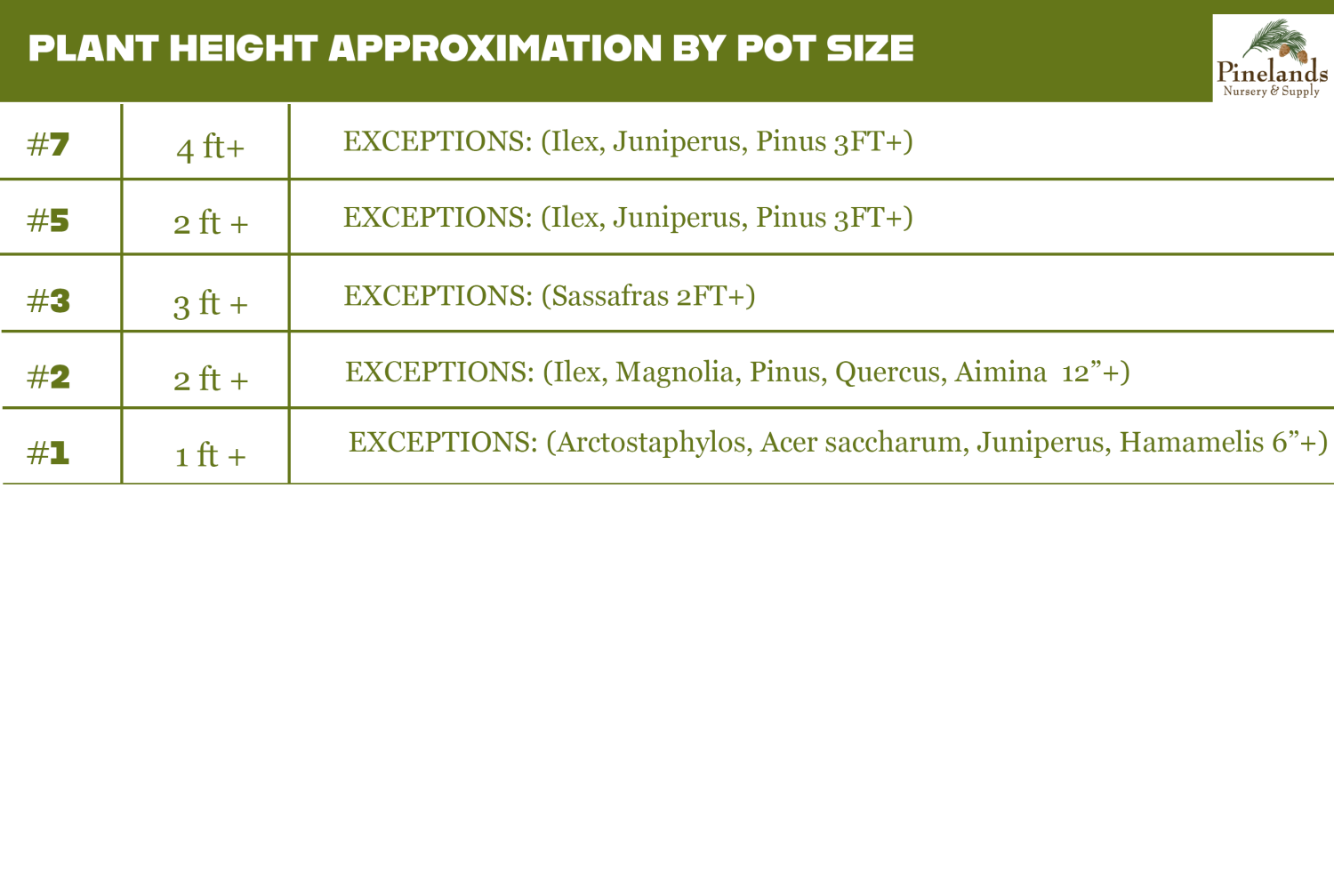 Geranium maculatum (Spotted geranium) #1 POT - Native Plants