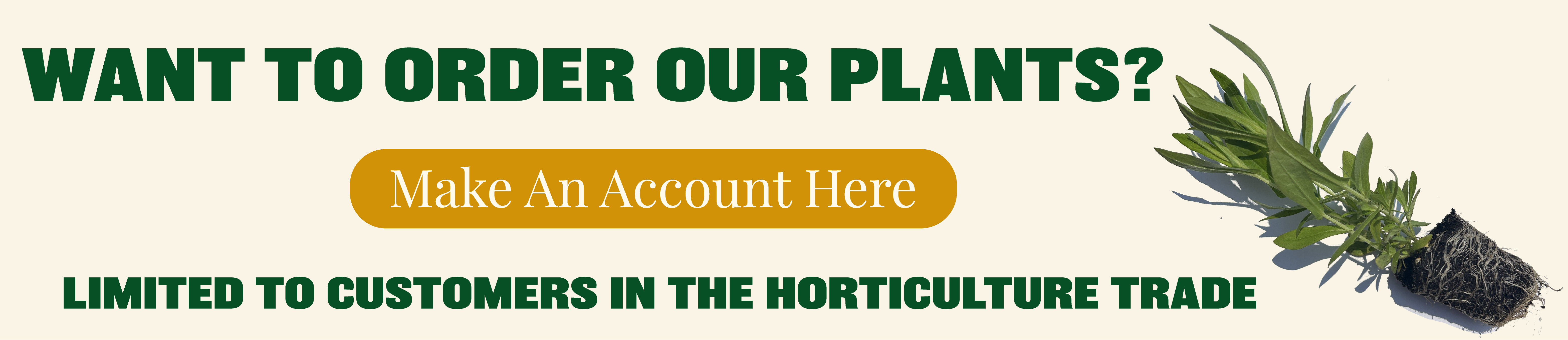 Native Seed Mixes - Native Plants