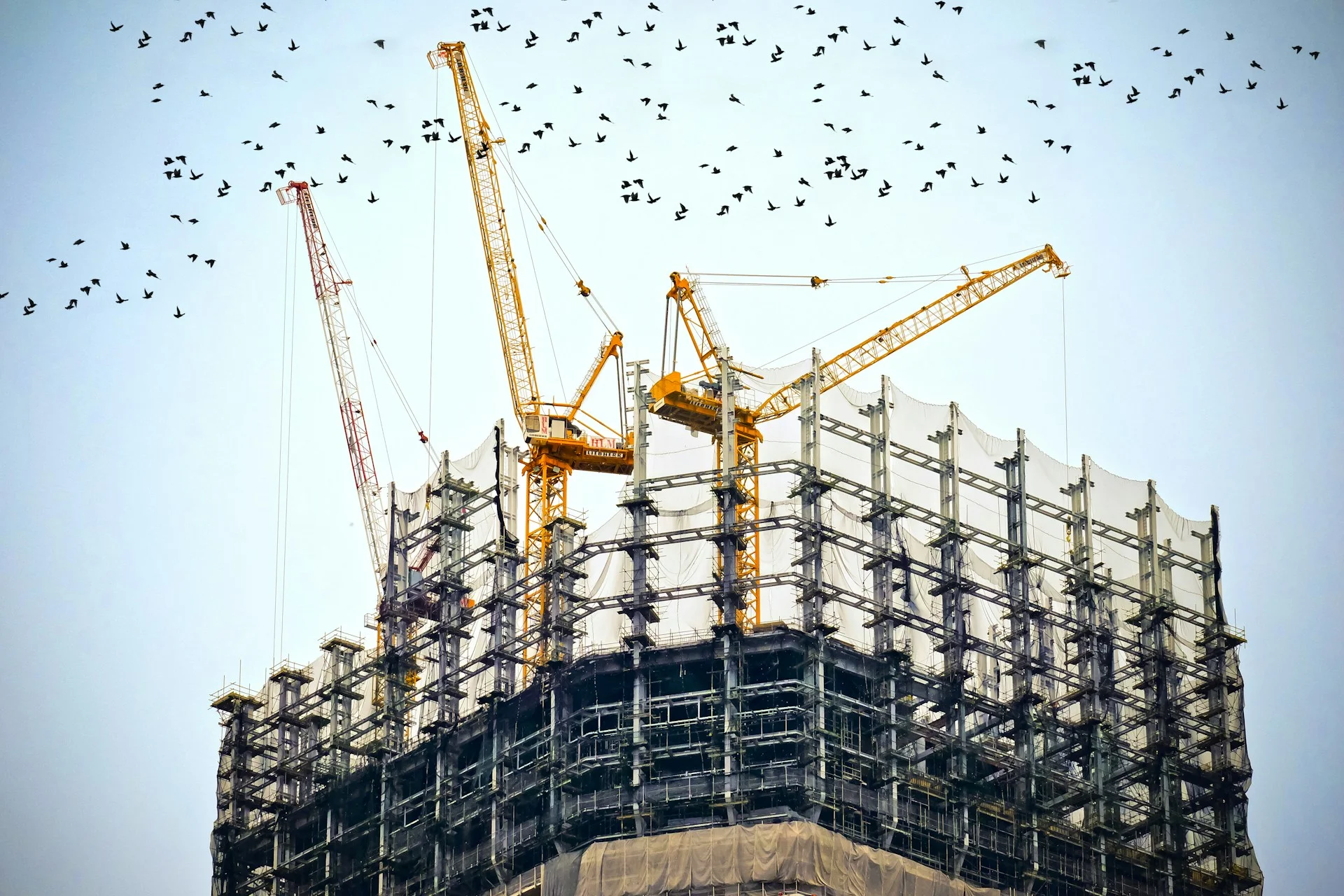 When Is Fall Protection Required? OSHA Height Rules & FAQs | TPR Industrial