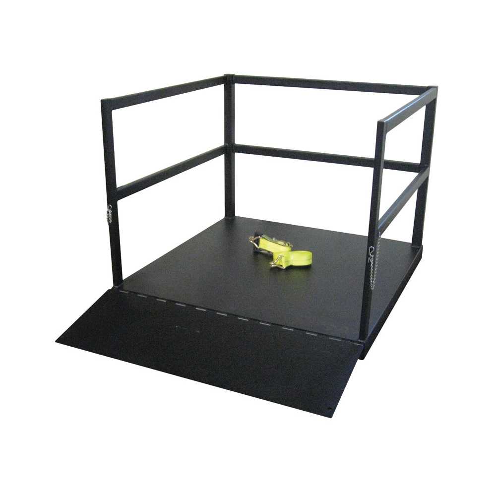 PALLET FORKLIFT CYL GAS 21 6000LB 9IN