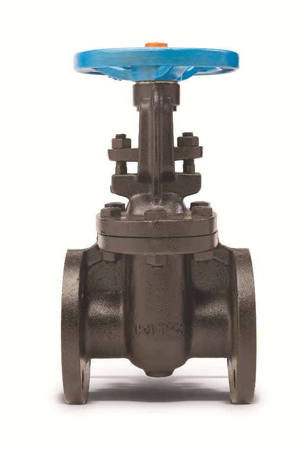 2-1/2" 125 IBBM OSY BB FLGD GATE VALVE #72 - Hayward Pipe & Supply Co, Inc