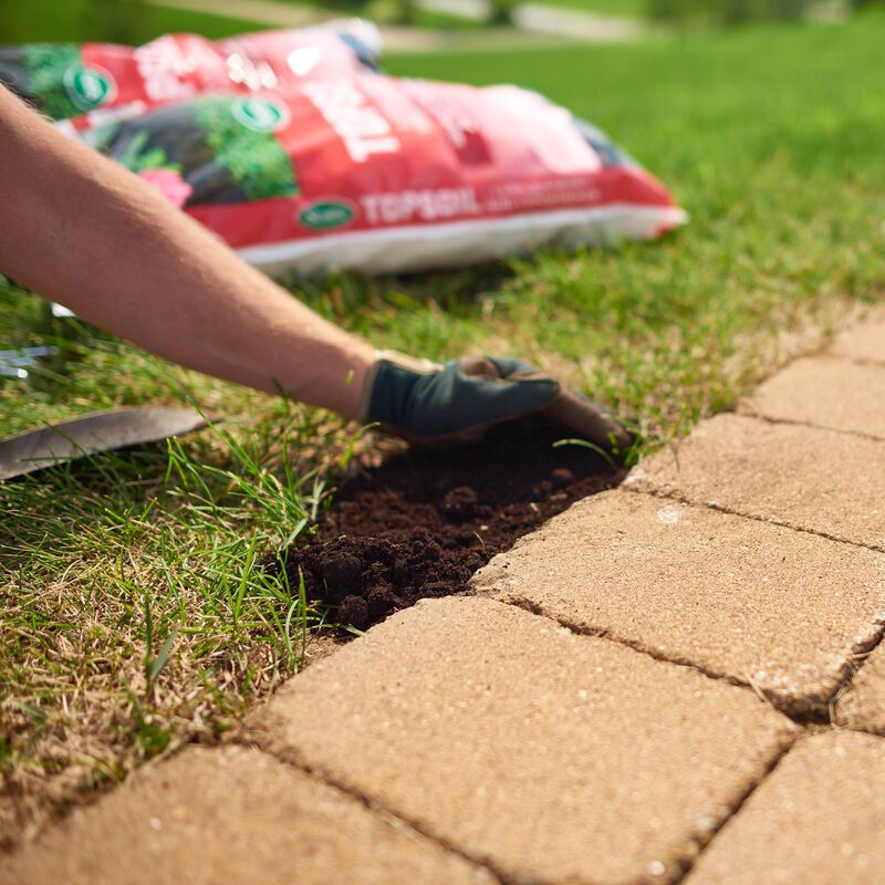 Soils and Mulches