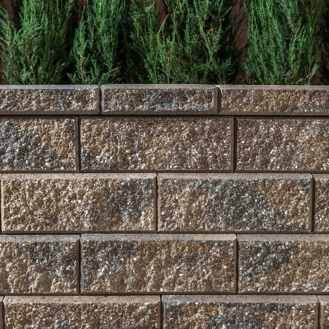 PISA 2 STANDARD UNIT NATURAL