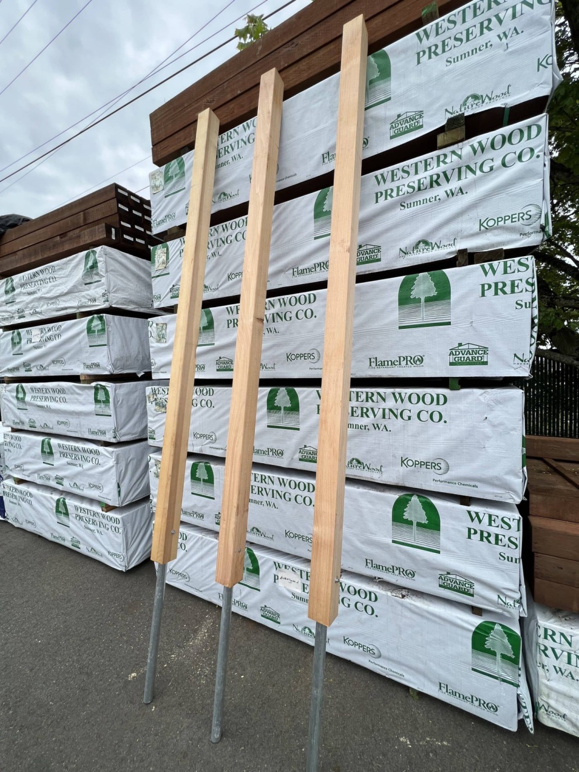 Cedar Post on Pipe 8'
